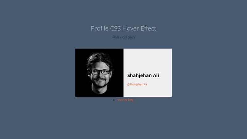 Profile CSS Hover Effect