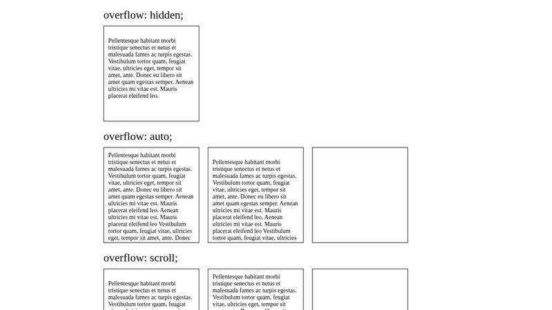 Overflow in CSS Examples