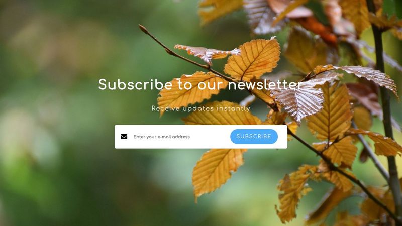 Responsive "Subscribe to newsletter" form (HTML - CSS Only)