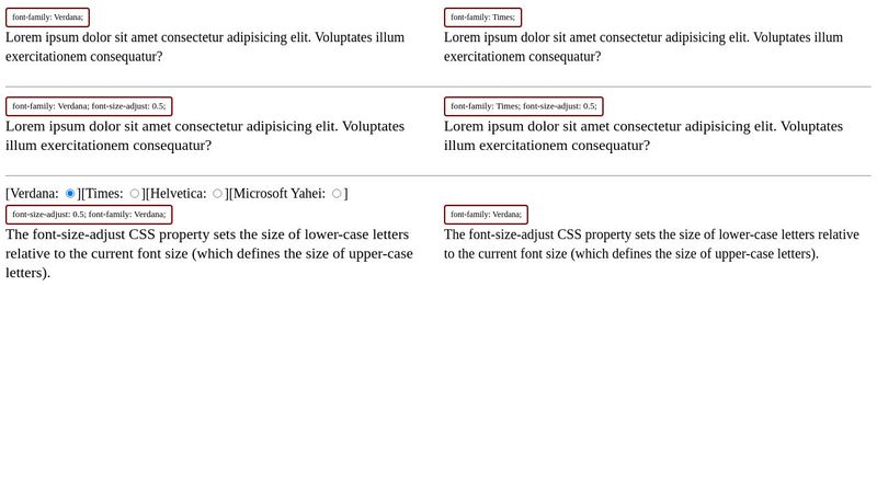 CSS Example: font-size-adjust