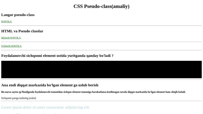 CSS Pseudo-class(amaliy)