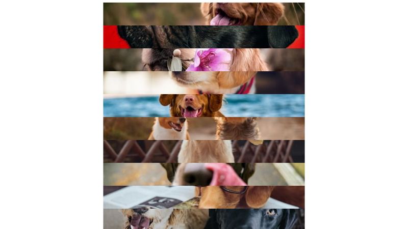 CodePen Challenge - Photo Gallery