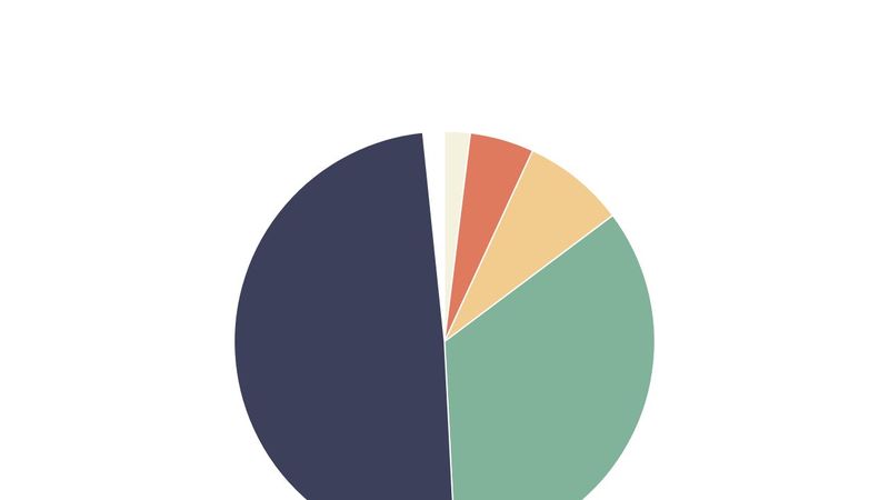 Pie Chart with Chart.js