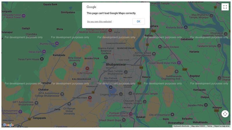 Simple Google Map Using API