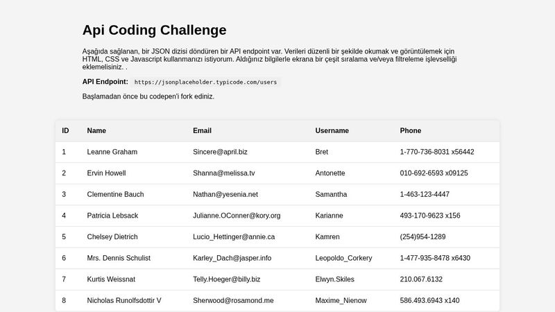 API Coding Challenge