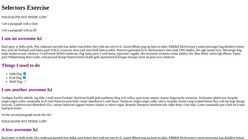 CSS Selectors Practice Exercise