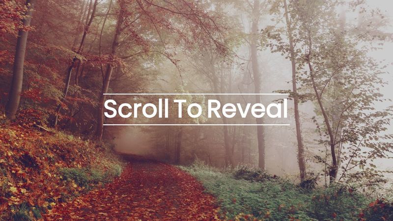 Scroll Reveal 3