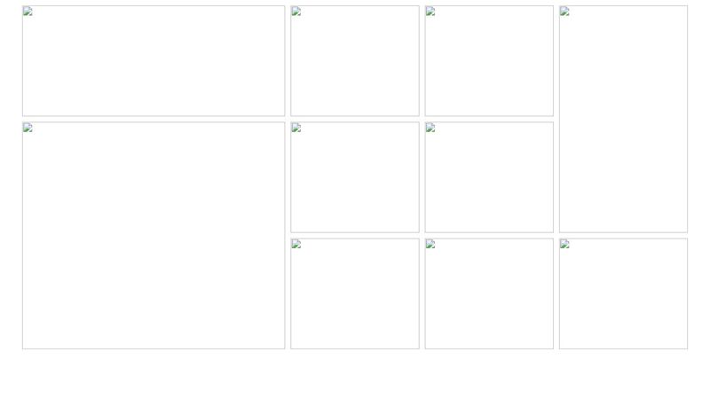 CSS Grid - Image Gallery