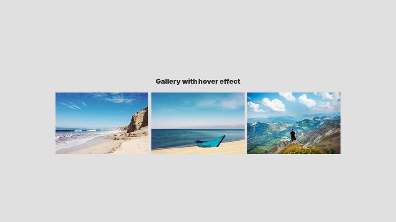 CSS Gallery Hover Effect