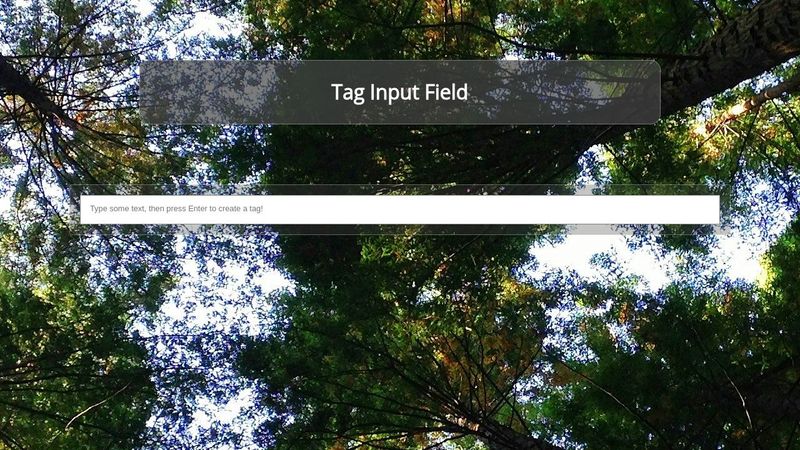 Tag Input Field
