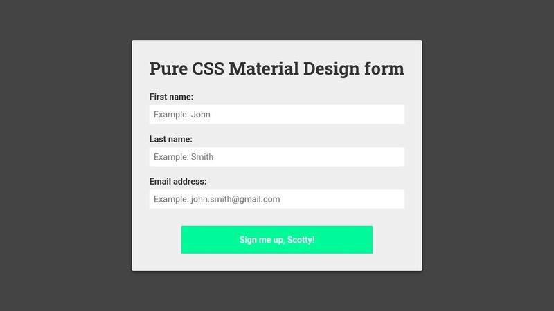 Pure CSS Material Design form