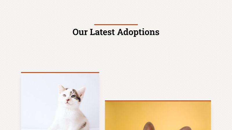 Codepen Challenge: Gallery Details