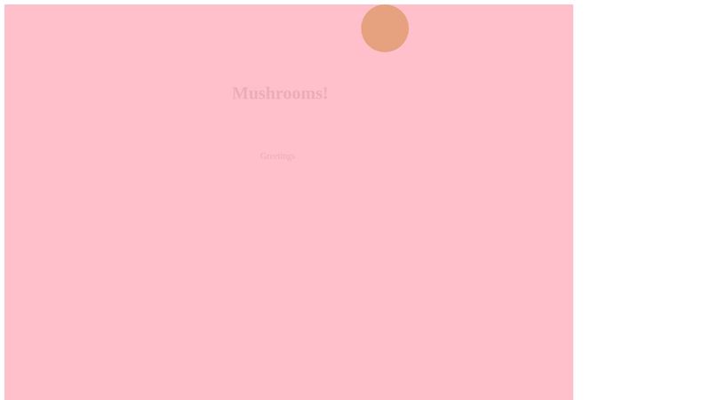 Live coding demo - CSS animation essentials