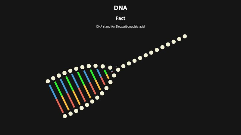 CSS DNA 🧬