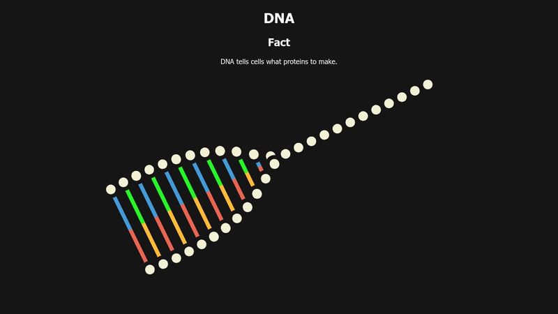 CSS DNA 🧬