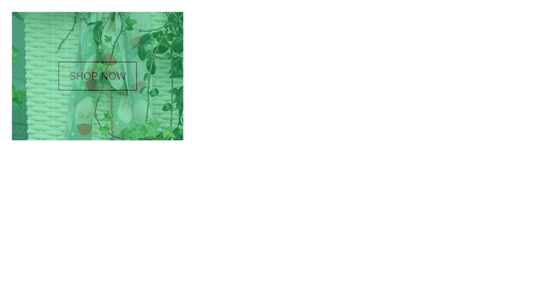 Semi-transparent layer over the background image.