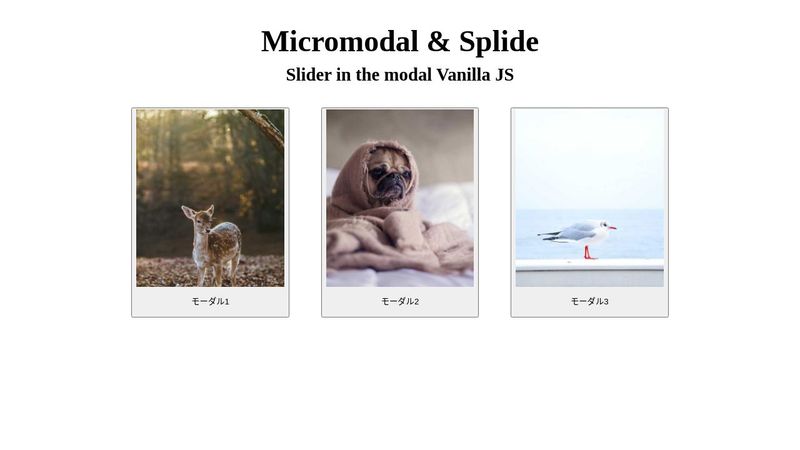 Micromodal & Splide( Slider in the modal Vanilla JS)