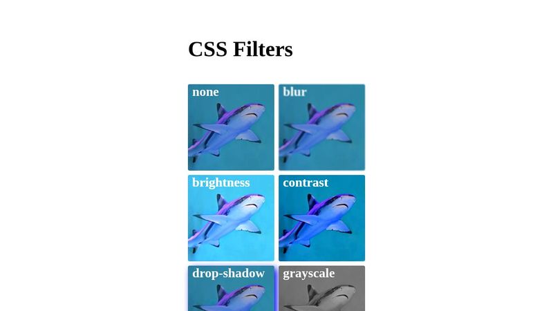 CSS Filter