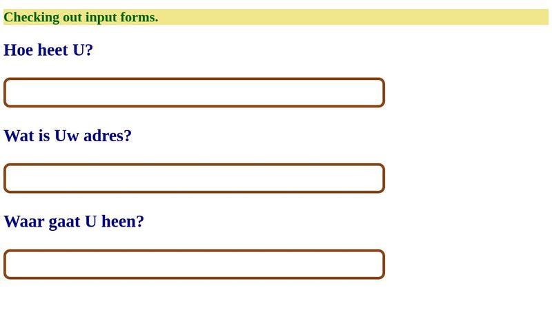 css input form