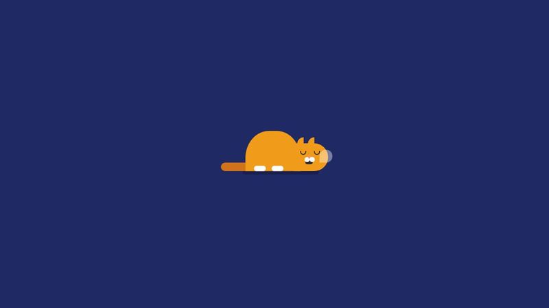 Sleeping Cat | CSS