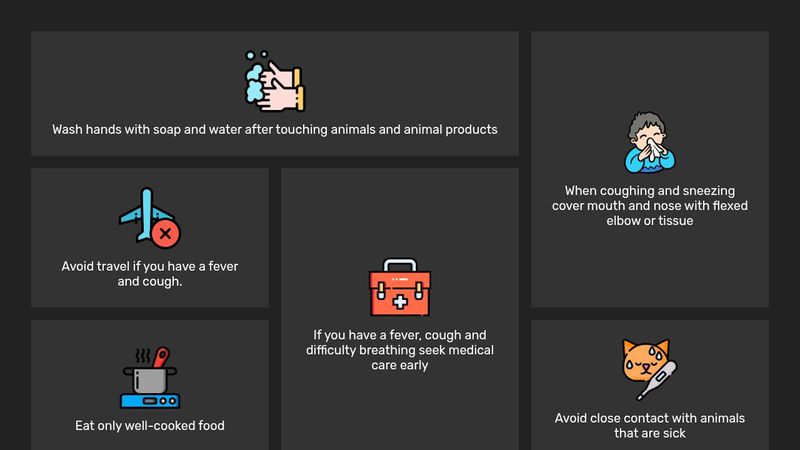 Responsive Masonry layouts Using CSS Grid | CSS3 Grid