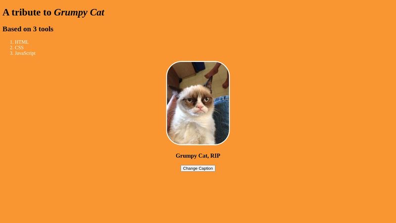 Demo Lesson Basic HTML CSS JS