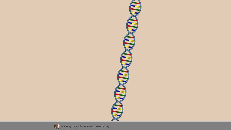 DNA Helix