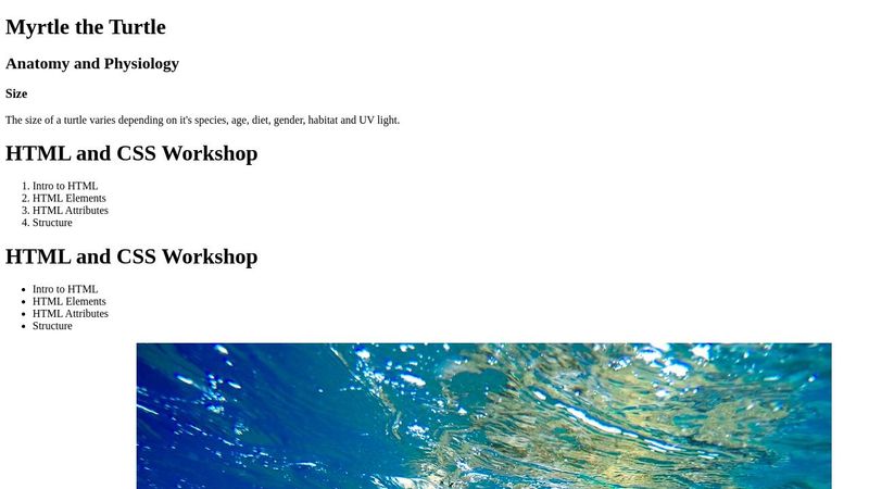 HTML & CSS Workshop - Part 1 - Template