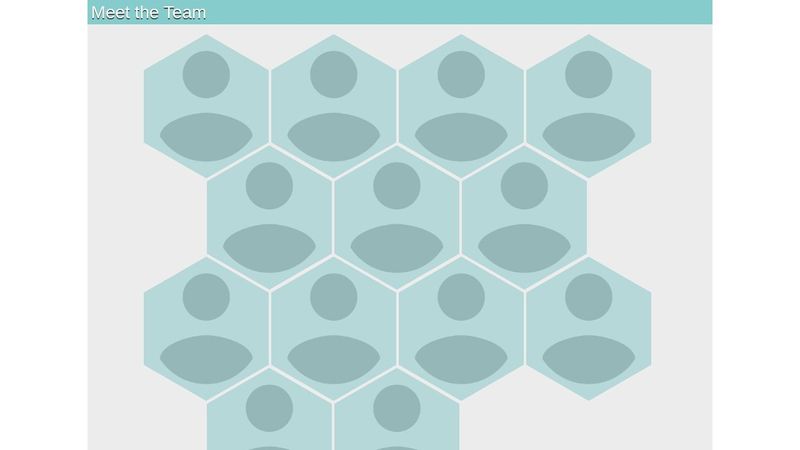 Responsive Hexagonal Grid - Meet the Team