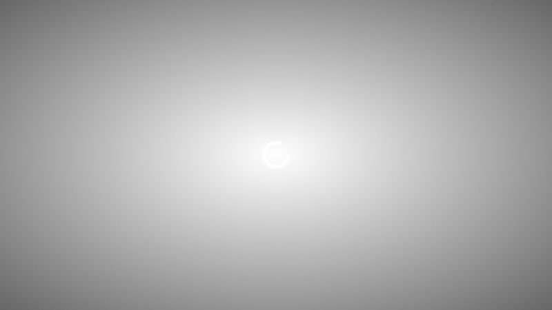 ThreeJS Shoe Customizer