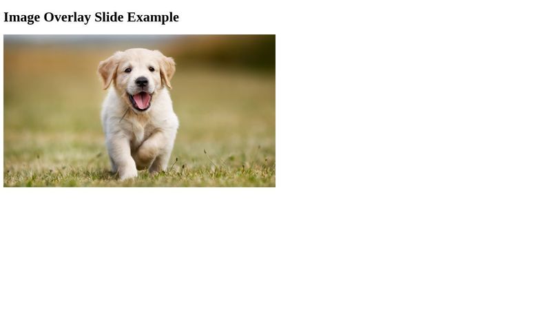 Image Overlay Transition CSS