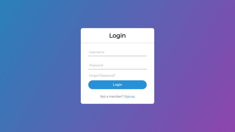 Login Form Input animation