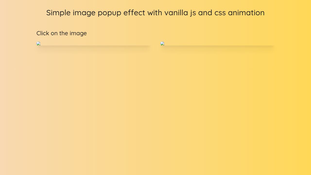 Simple image popup effect with vanilla js and css animation