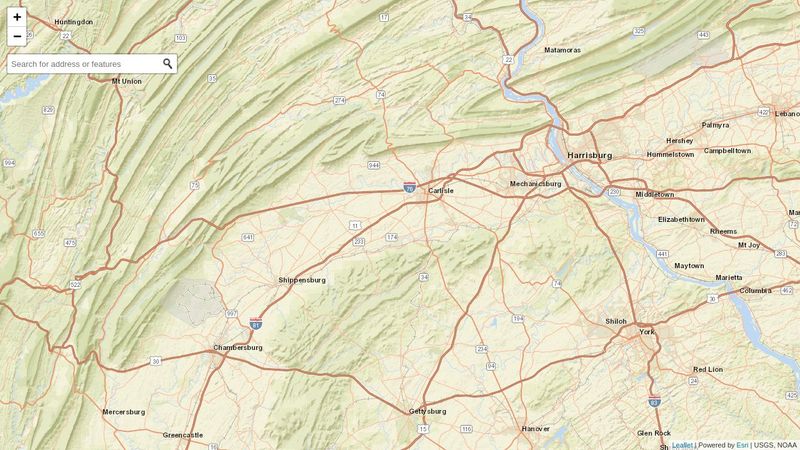 Esri Leaflet Geocoder Error Custom Geocode Service