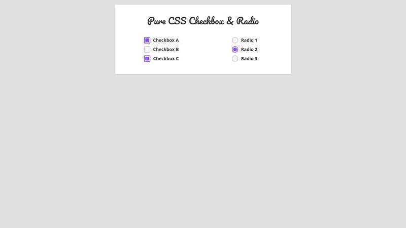 Pure CSS Checkbox & Radio