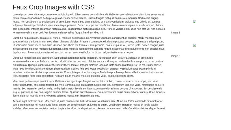 Faux Crop Images with CSS / Responsive