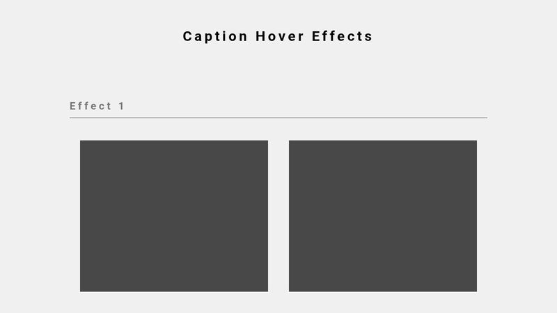 Caption Hover Effect