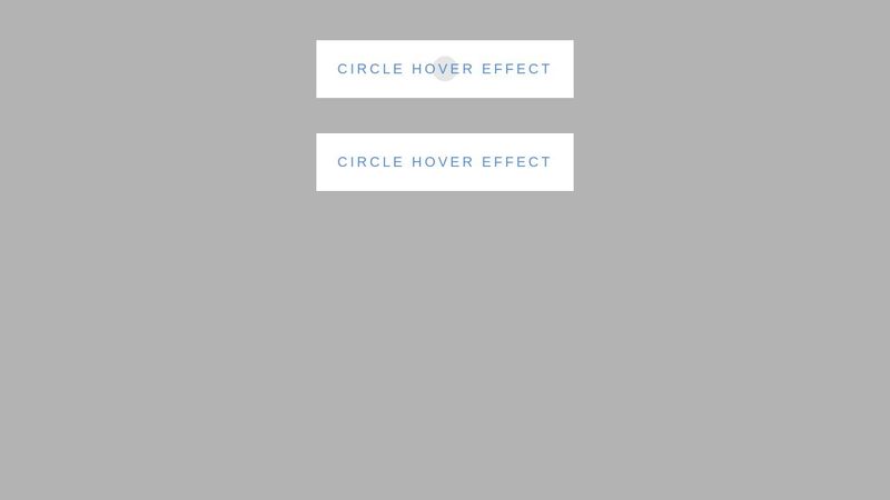 Circle Hover Effect