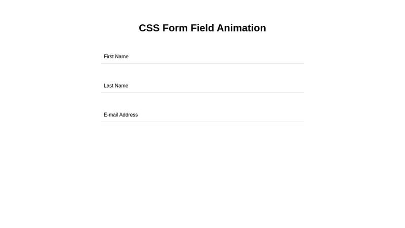 CSS Form Field Animation