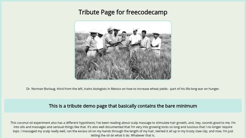 Tribute page for freecodecamp.com