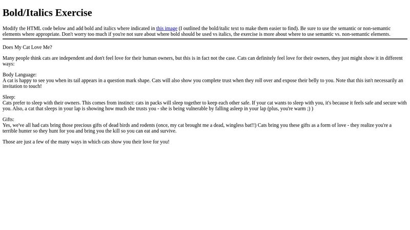 Bold/Italics Exercise