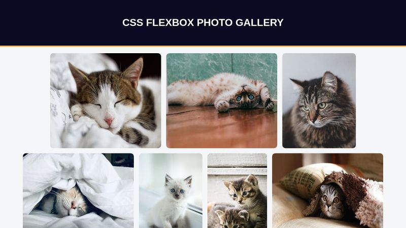 Photo Gallery-CSS Flexbox Practice