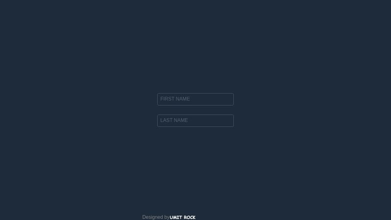 CSS Input Field Text Animation