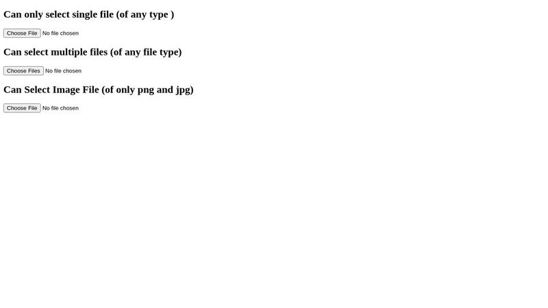Html Input Typefile Accept Attribute