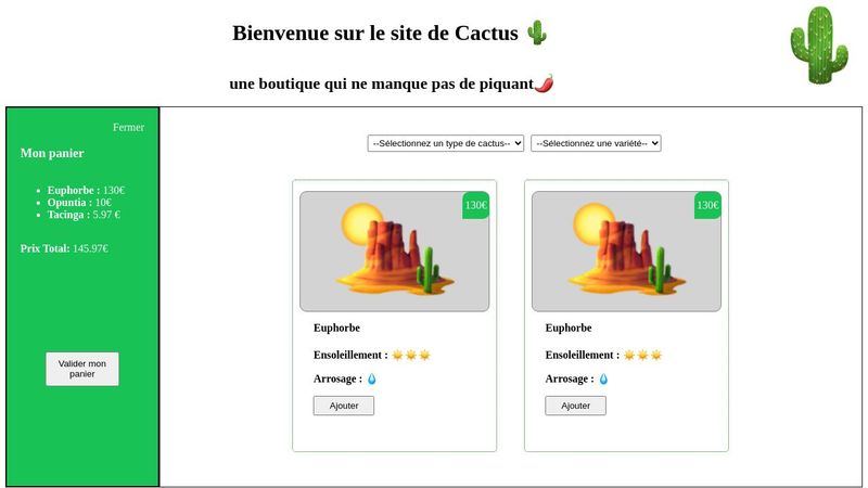 Projet React Cactus affichage overflow