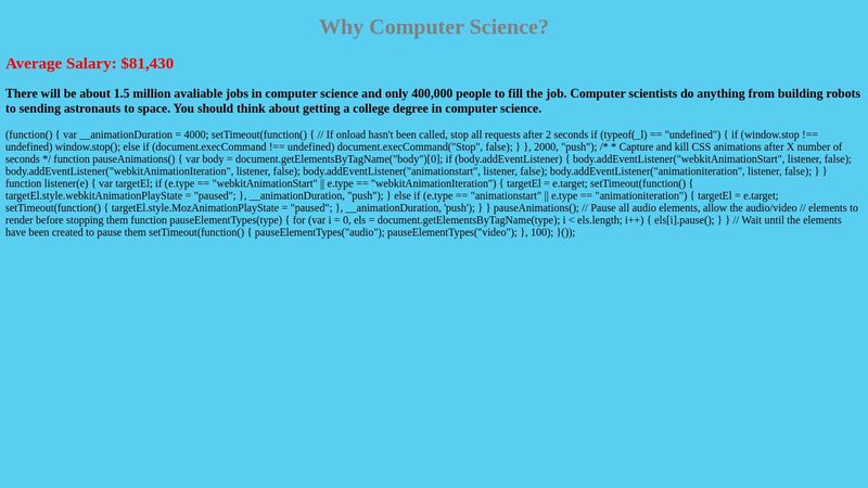 Why Computer Science?