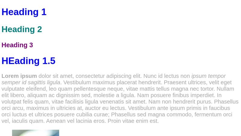 HTML & CSS 10-2 2024