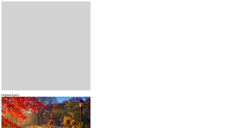 Fabric.js - Cover rect with image