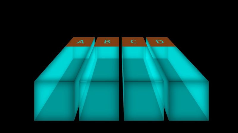 CodePen Challenge - Radio Button