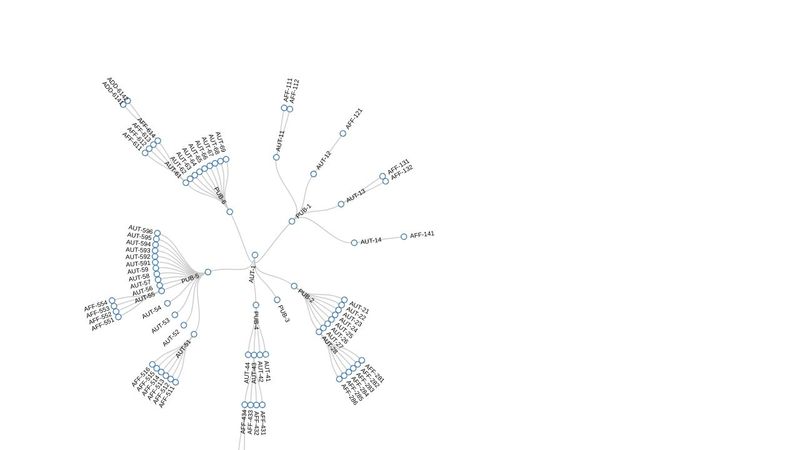 Collapsible Radial Tree in D3